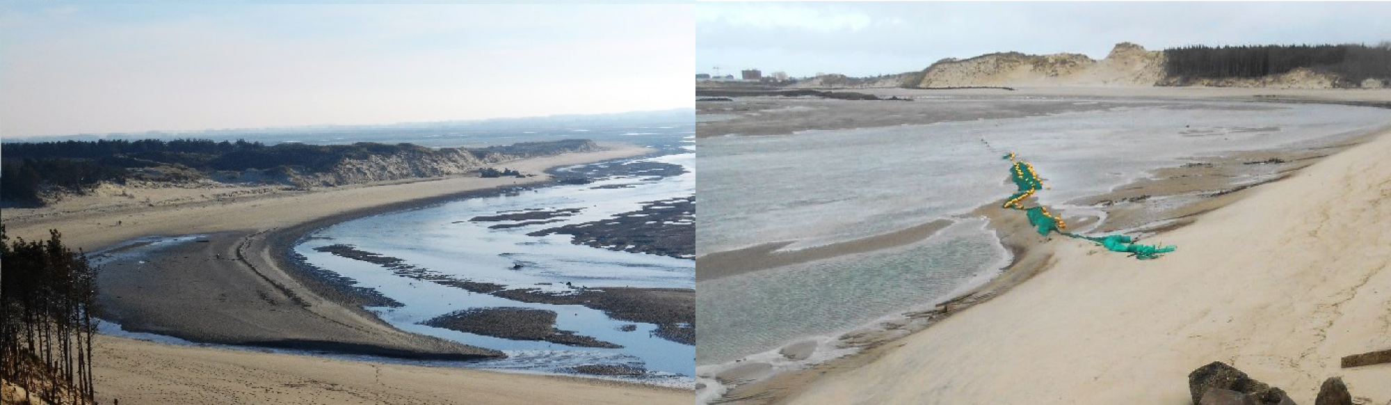 Endure project - New solutions for dune resilience